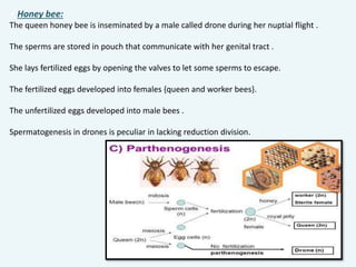 Parthenogenesis, Natural parthenogenesis, Artificial parthenogenesis | PPTX