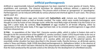 Parthenogenesis about amoeba and prophase of gastrula.pptx