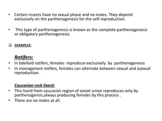 PARTHENOGENESIS Pertemuan 5.pptx