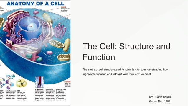The cell : Structures and Functions. | PPT