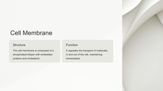 The cell : Structures and Functions. | PPTX | Biological Sciences | Science