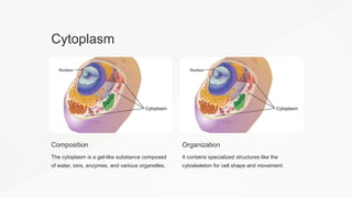 The cell : Structures and Functions. | PPTX | Biological Sciences | Science