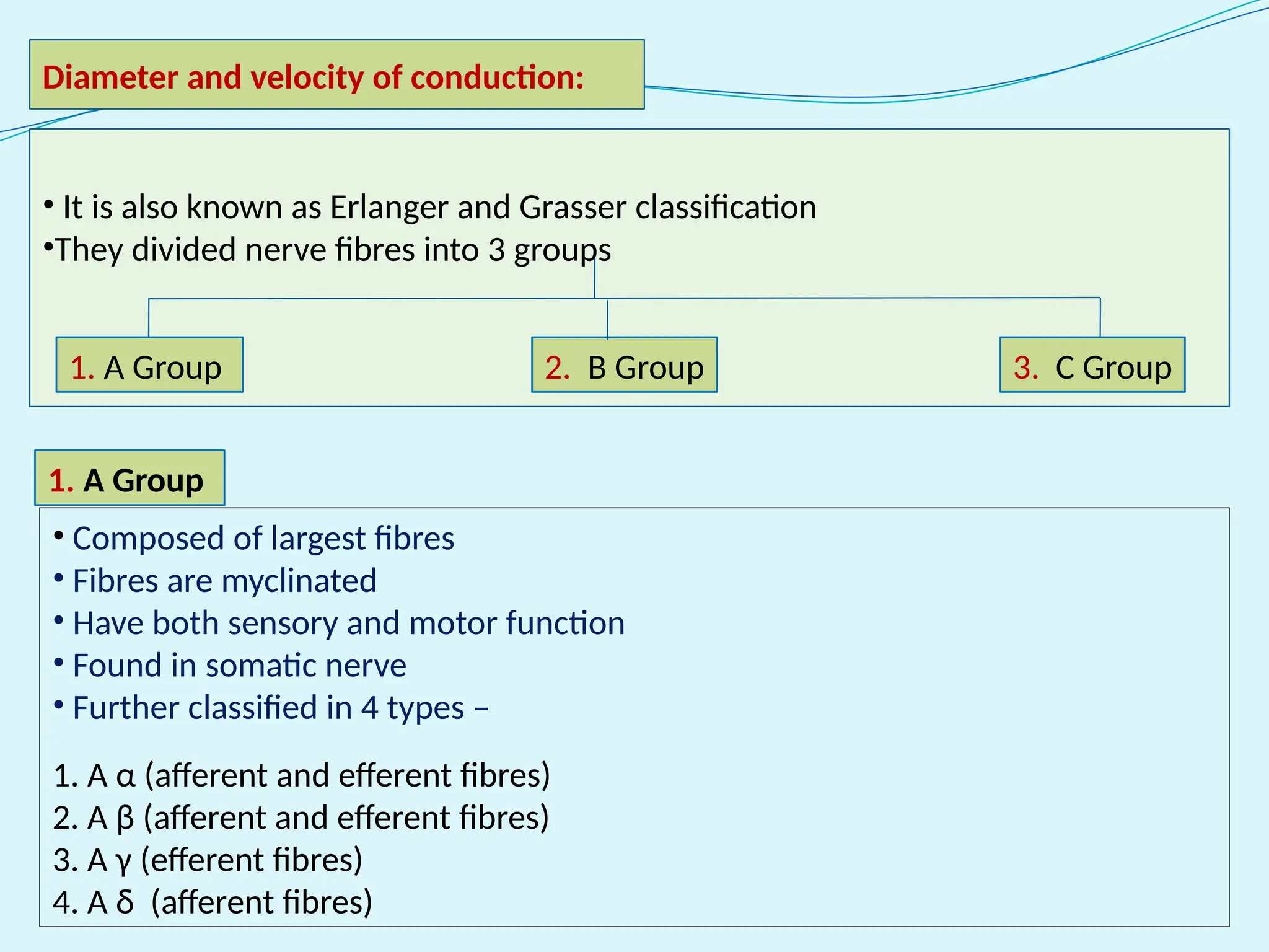 Classification and poperties of Nerve fibres | PPTX