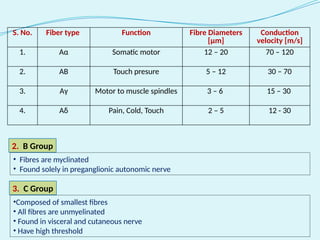 Classification and poperties of Nerve fibres | PPTX