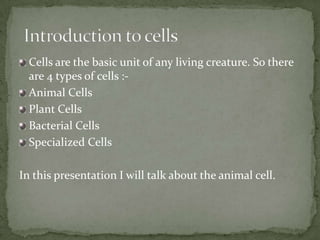 Student example: Animal cell presentation | PPTX