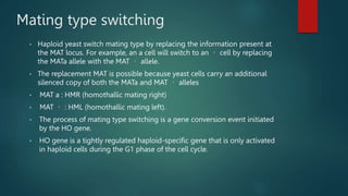 PARTH SHARMA GENETIC PRESENTAION.pptx