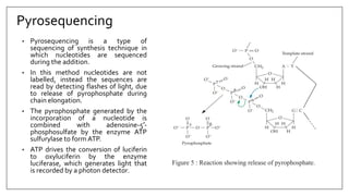 PARTH SHARMA molecular diagnosis ppt.pptx