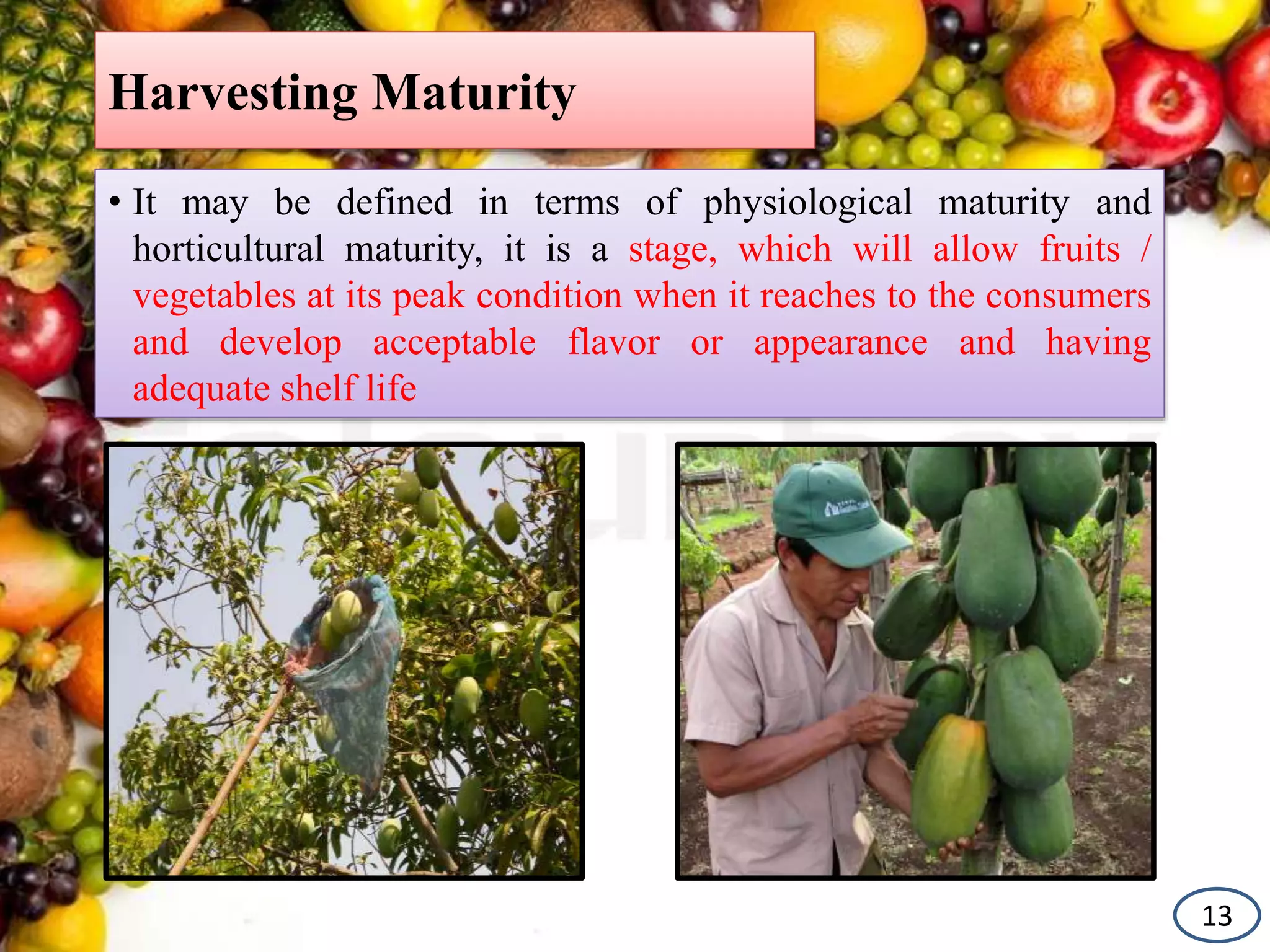 Physiological maturity indices in tropical fruit crops | PPTX