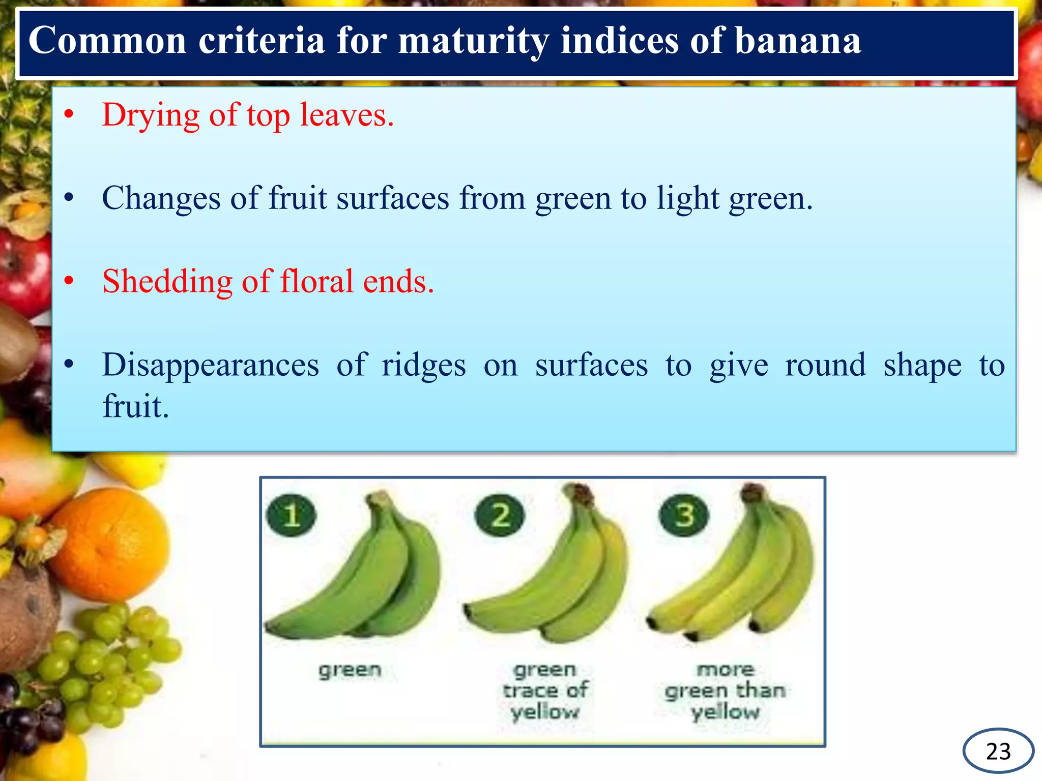 Physiological maturity indices in tropical fruit crops | PPTX