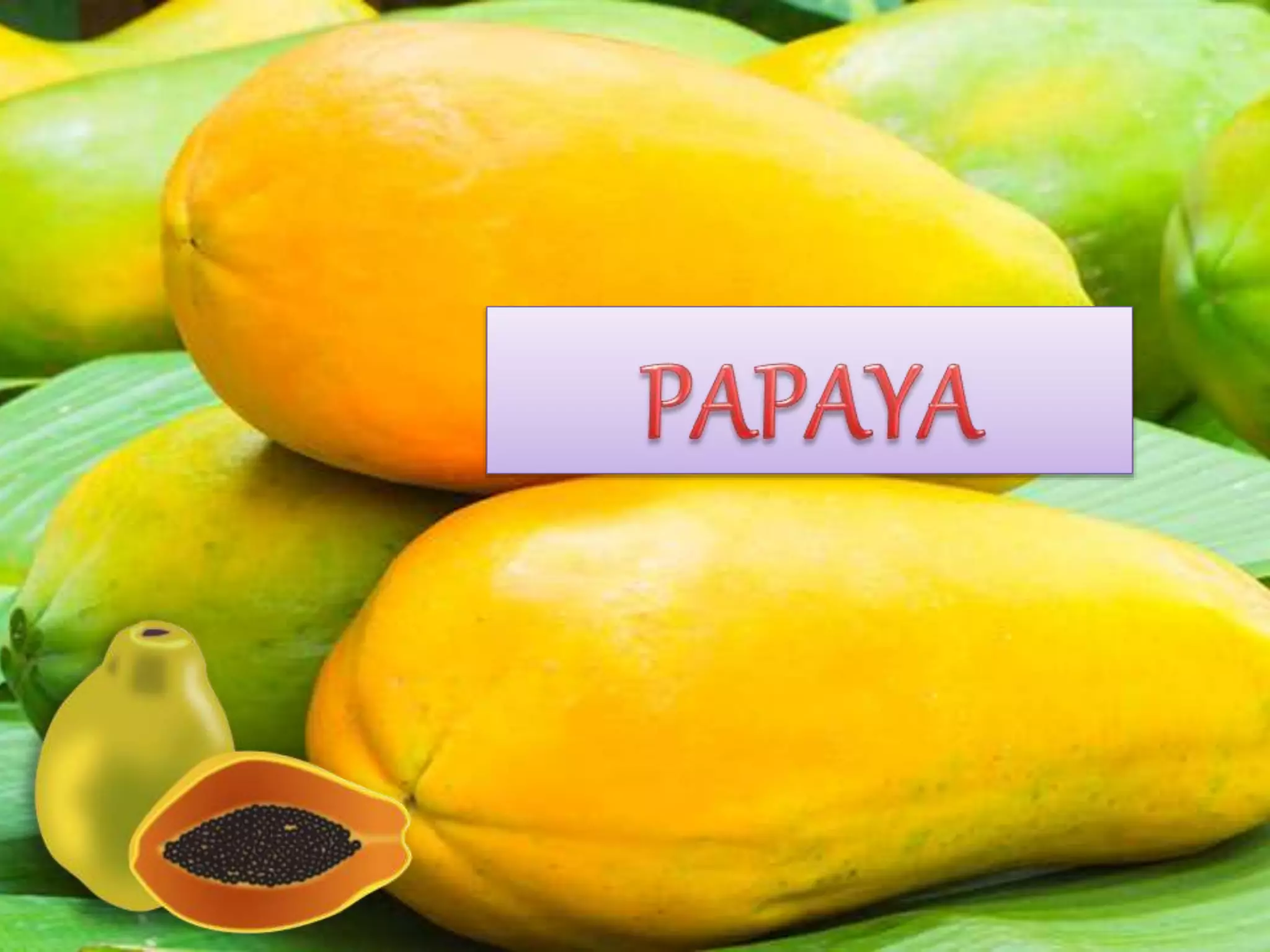Physiological maturity indices in tropical fruit crops | PPTX
