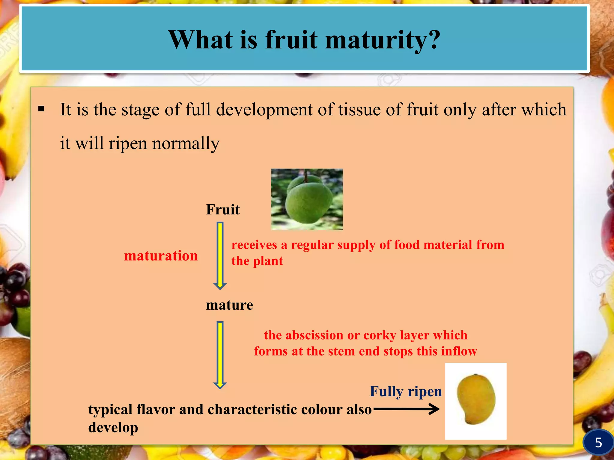 Physiological maturity indices in tropical fruit crops | PPTX