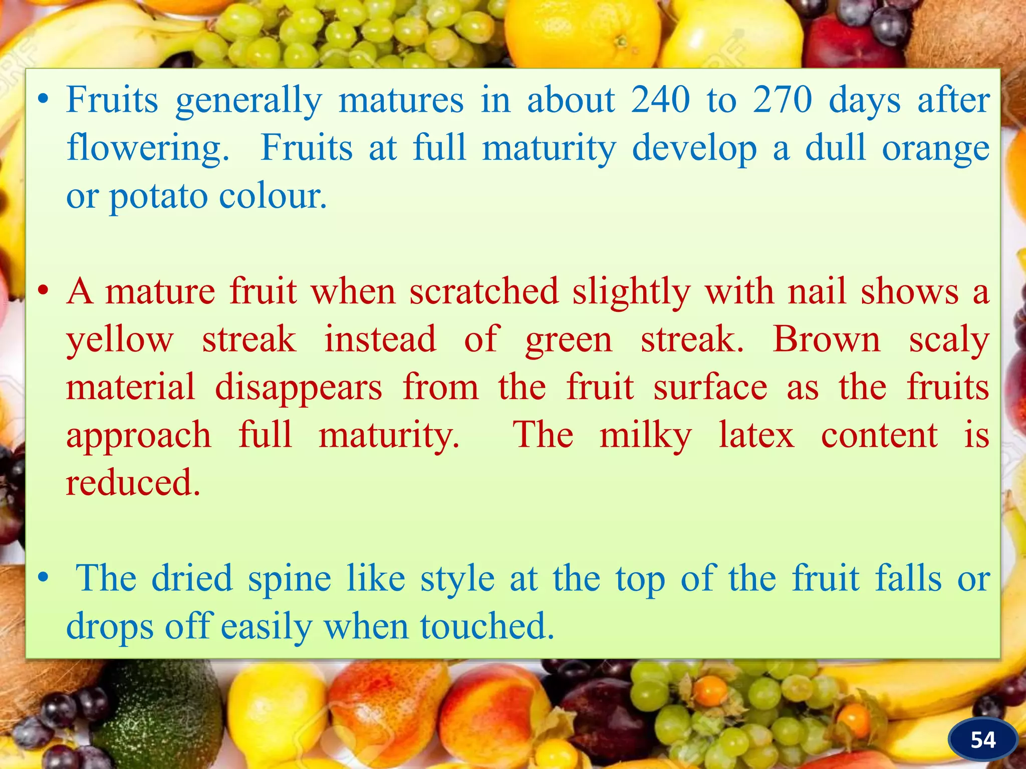 Physiological maturity indices in tropical fruit crops | PPTX