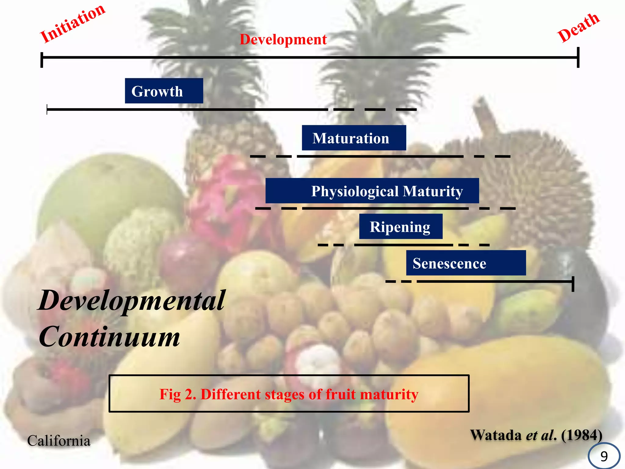 Physiological maturity indices in tropical fruit crops | PPTX