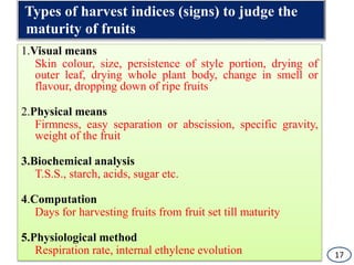 Physiological maturity indices in tropical fruit crops | PPTX