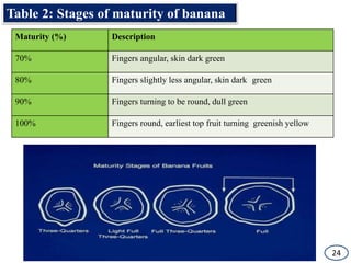 Physiological maturity indices in tropical fruit crops | PPTX