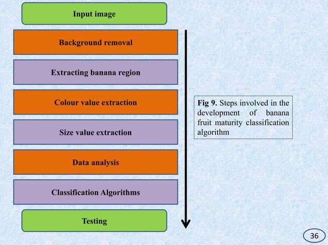 Physiological maturity indices in tropical fruit crops | PPT