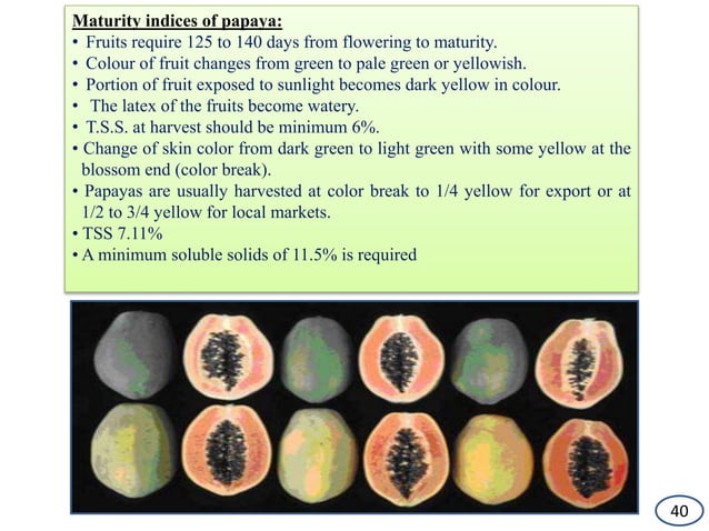 Physiological maturity indices in tropical fruit crops | PPT