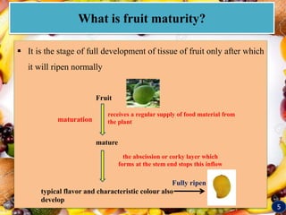 Physiological maturity indices in tropical fruit crops | PPTX