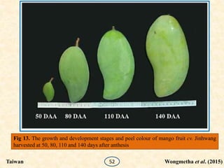 Physiological maturity indices in tropical fruit crops | PPTX