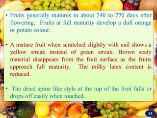 Physiological maturity indices in tropical fruit crops | PPTX