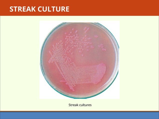 Part I - Chapter 5 - Culture Methods.ppt