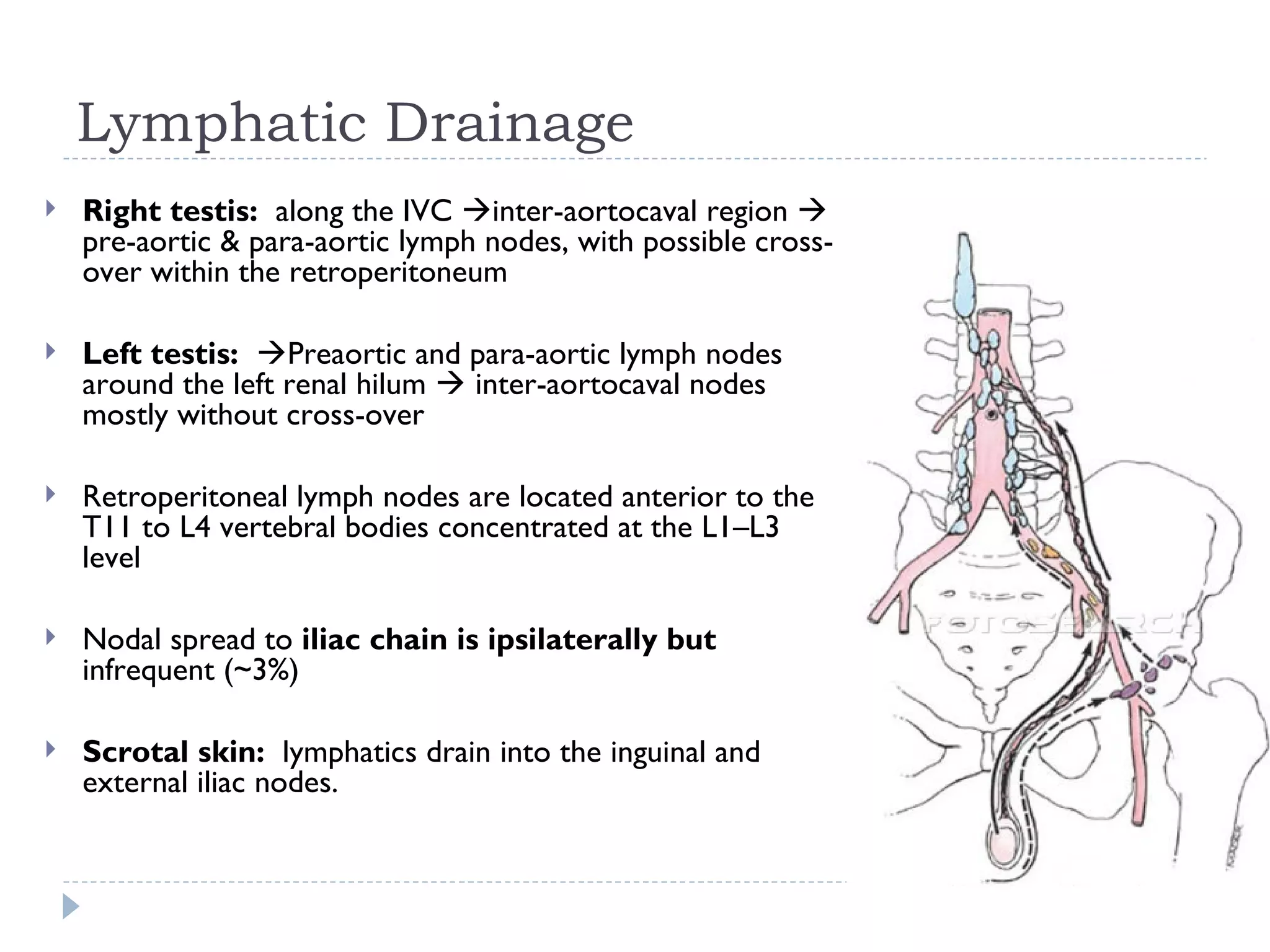 Part 1 management of testicular carcinoma - dr vandana | PPT