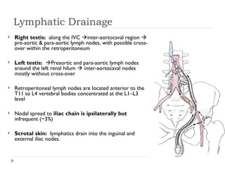 Part 1 management of testicular carcinoma - dr vandana | PPT