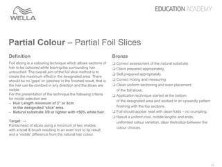 Partial color Portfolio | PPT