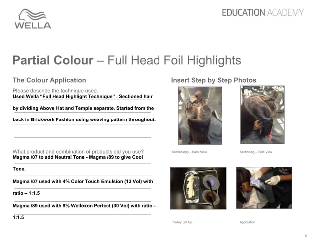 Partial color Portfolio | PPT