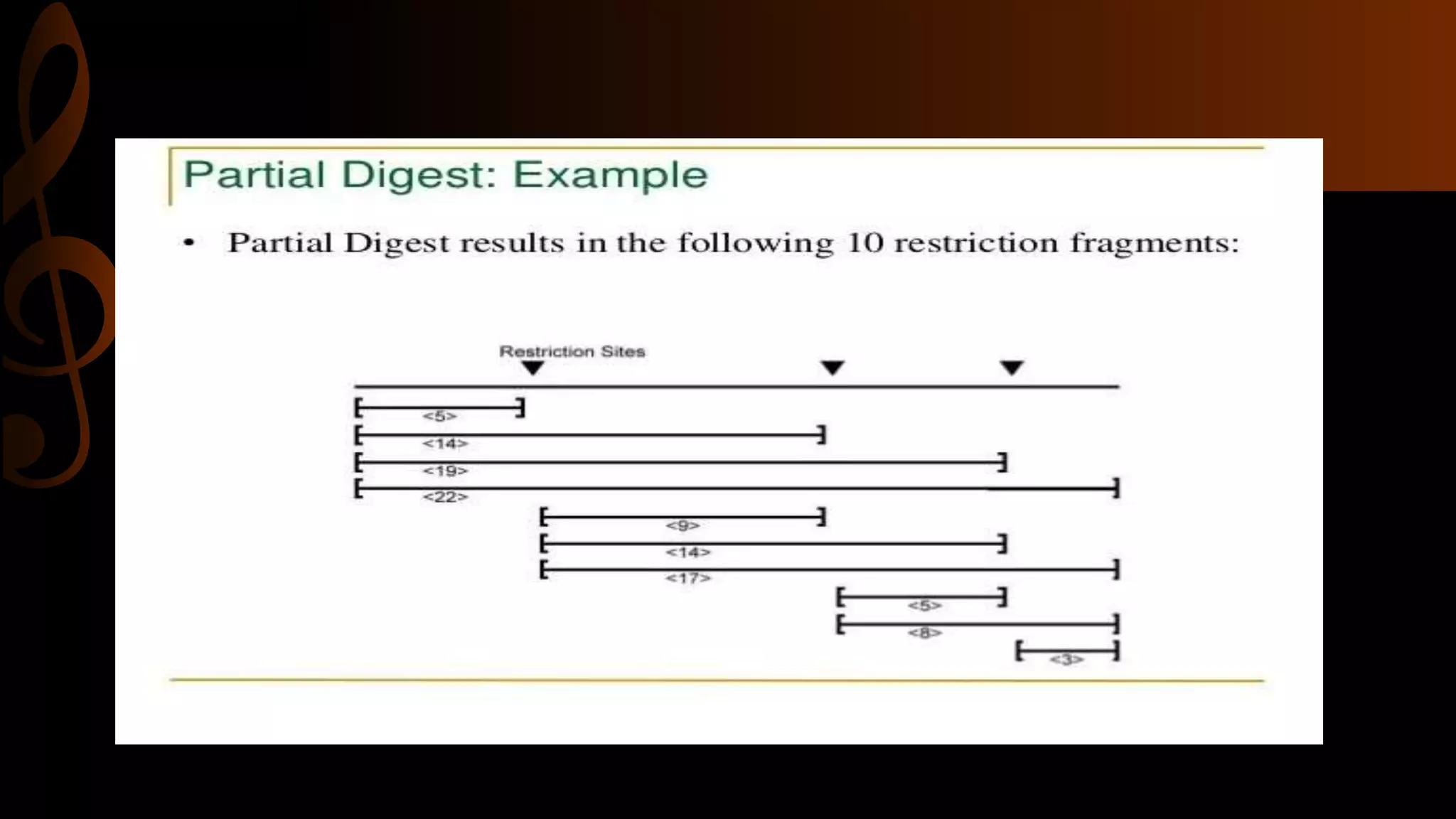 Partial digest algorithm | PPTX