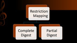 Partial digest algorithm | PPTX