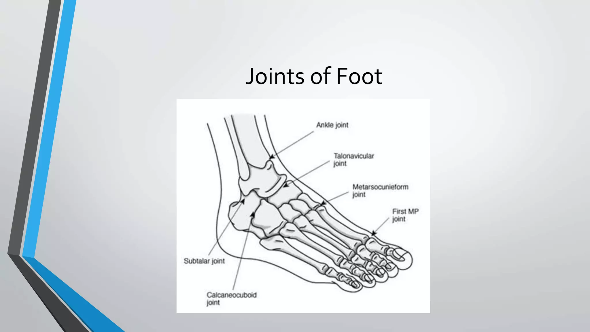 Prosthetic Management of Different Types of Partial Foot Amputation | PPTX