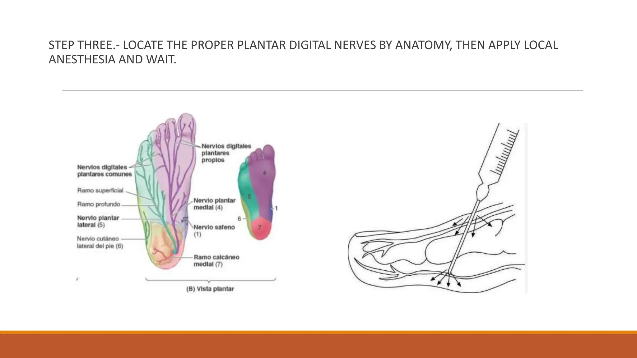 PARTIAL NAIL EXTRACTION PROCEDURE.pptx
