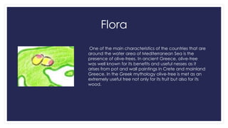 Partial project Ancient Greece | PPT