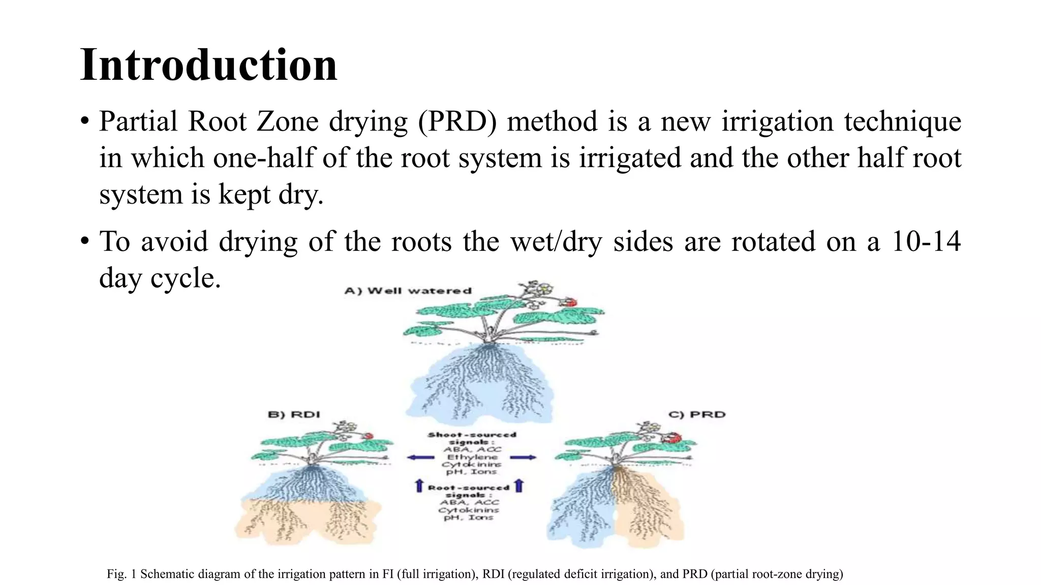 partial root zone drying.pptx