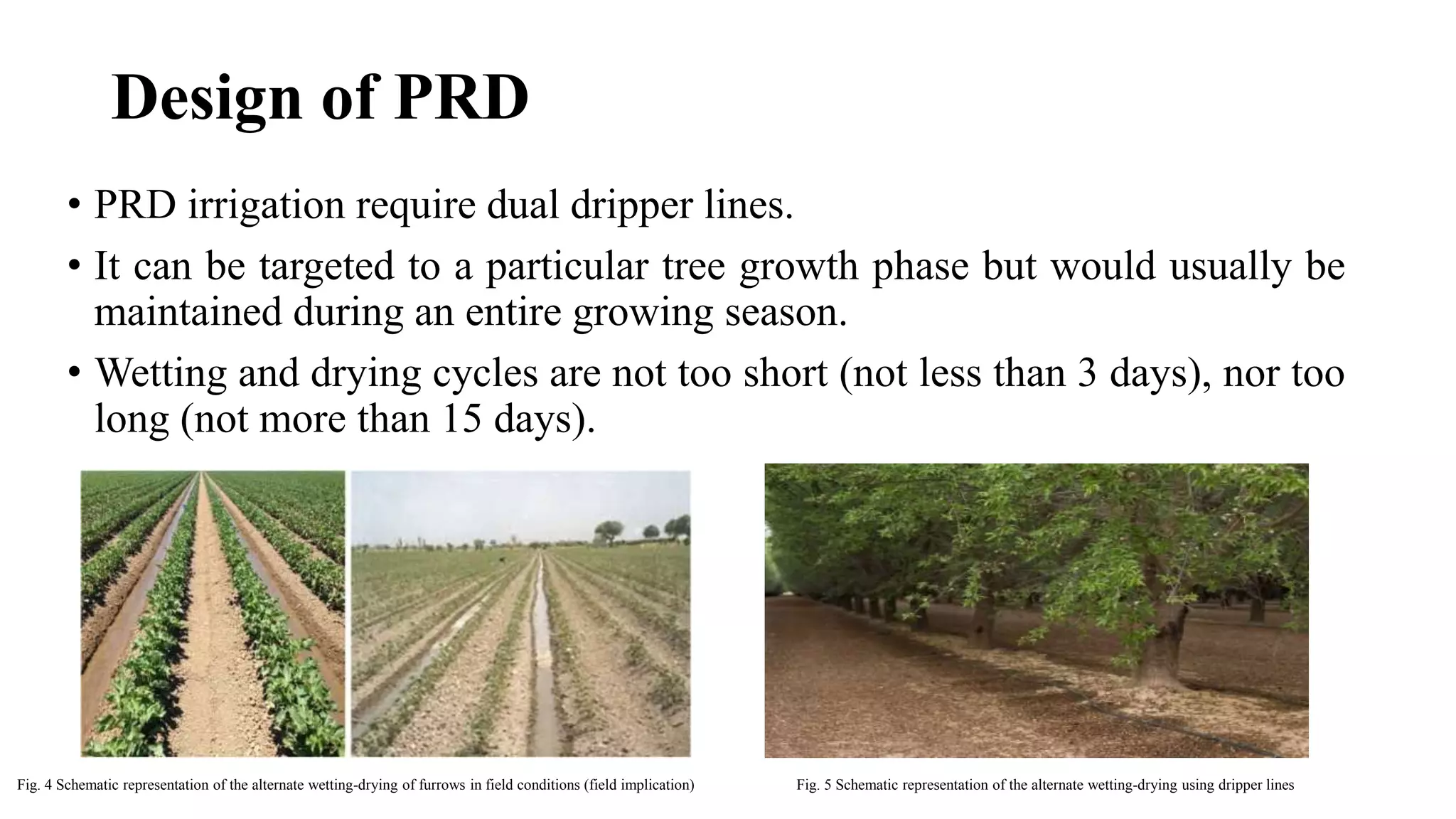 Partial Root Zone Drying Pptx