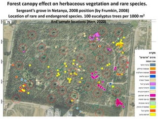 Partial shading as significant factor in biodiversity of plants in ...