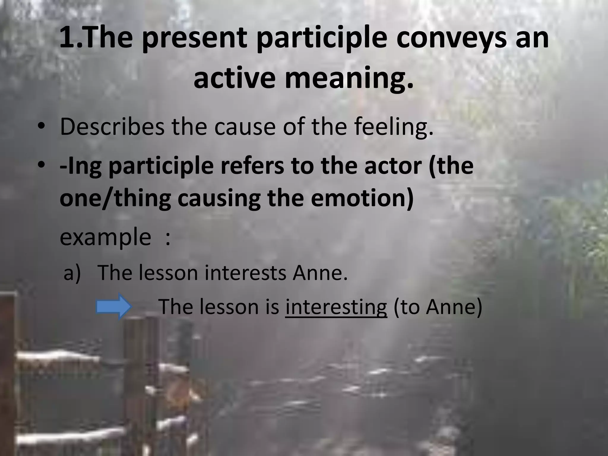 Participle adjectives | PPTX