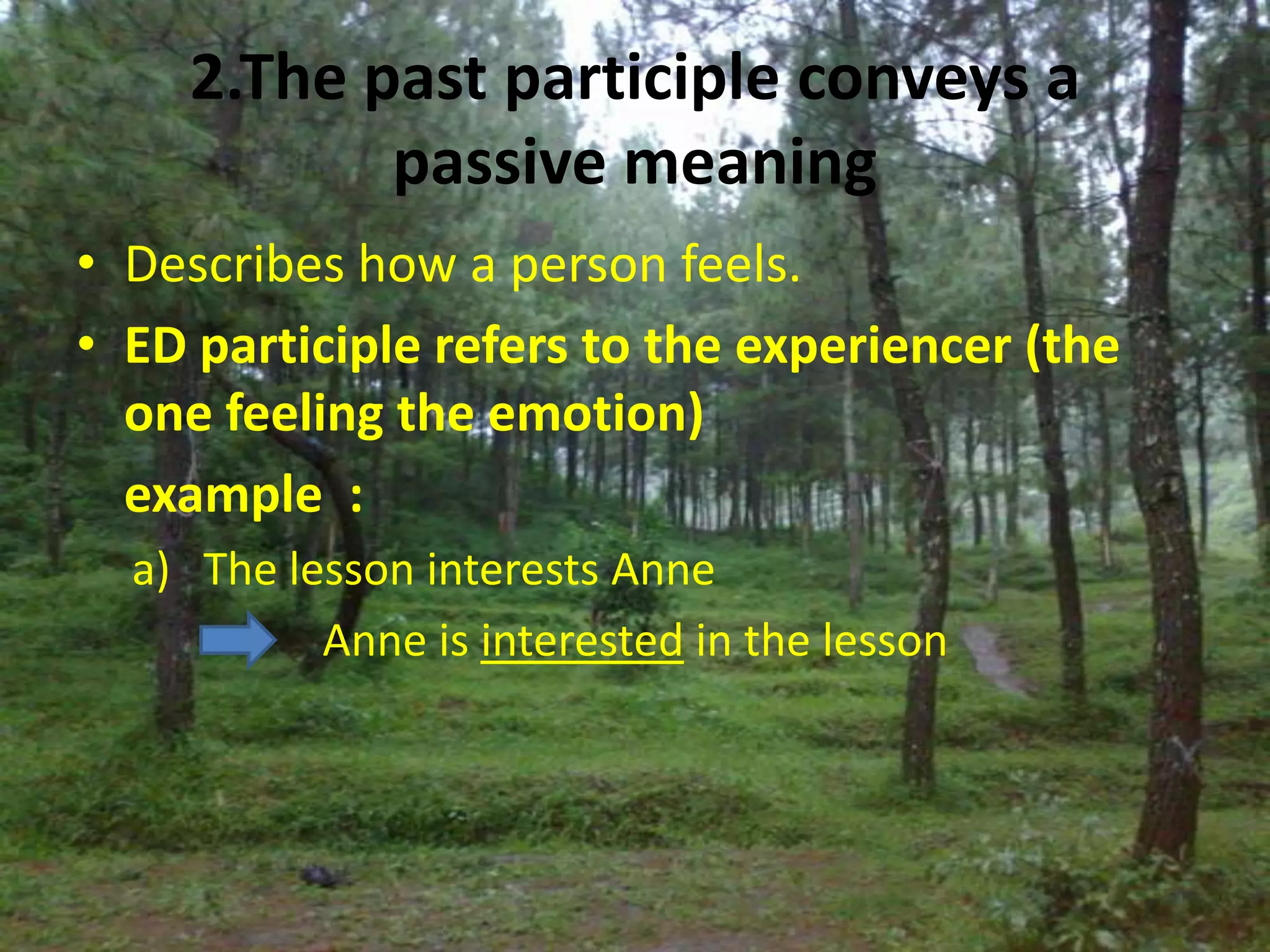 Participle adjectives | PPTX