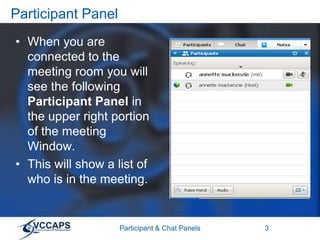 Participant & chat panels | PPTX
