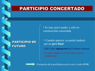 Participio | PPT | Science