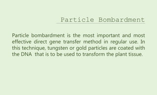 PARTICLE BOMBARDMENT IN RICE PLANT .pptx