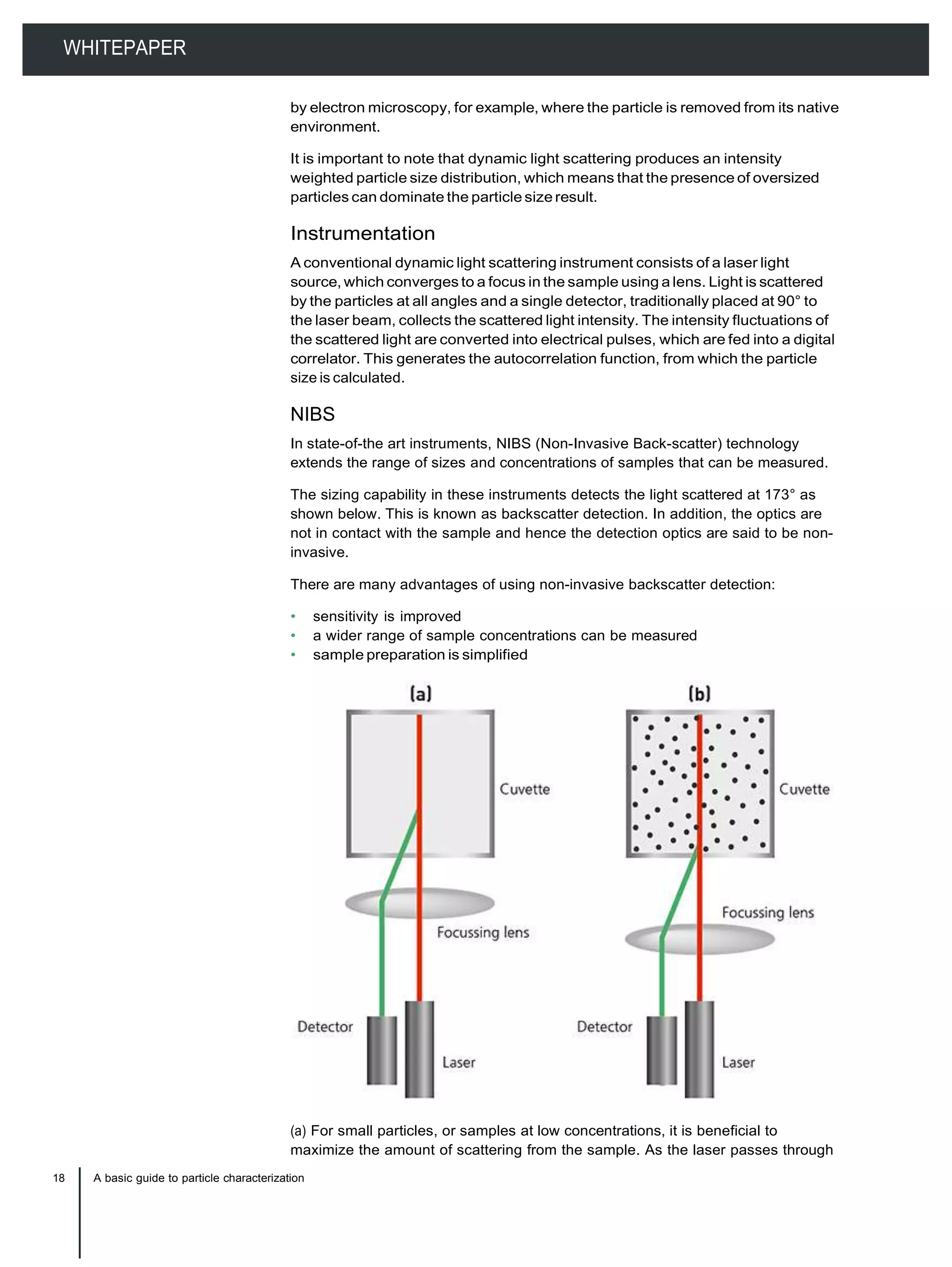 Particle Characterization Guide.docx | Physics | Science