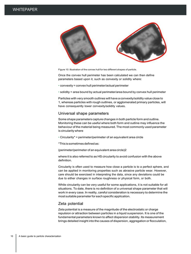 Particle Characterization Guide.docx