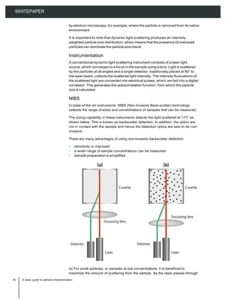 Particle Characterization Guide.docx | Physics | Science
