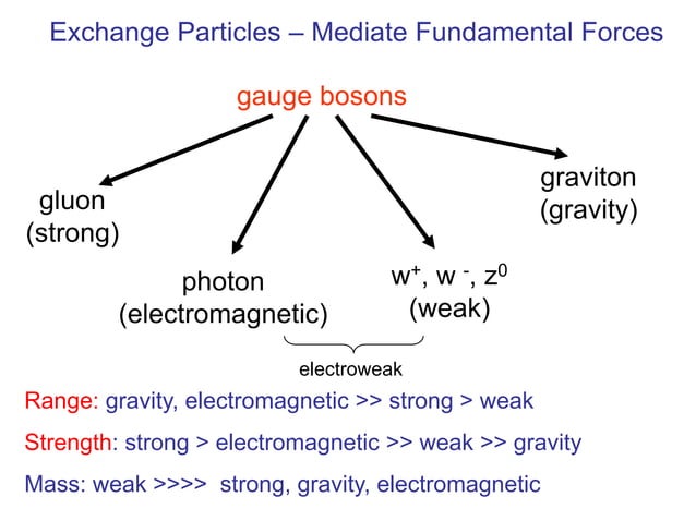 Particle physics - Standard Model | PPTX | Physics | Science