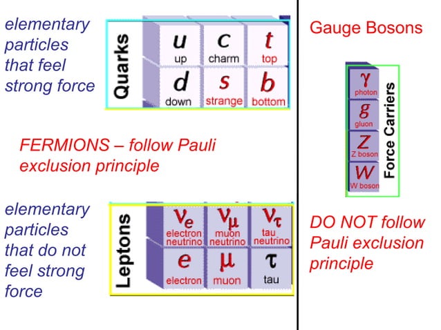 Particle physics - Standard Model | PPTX | Physics | Science