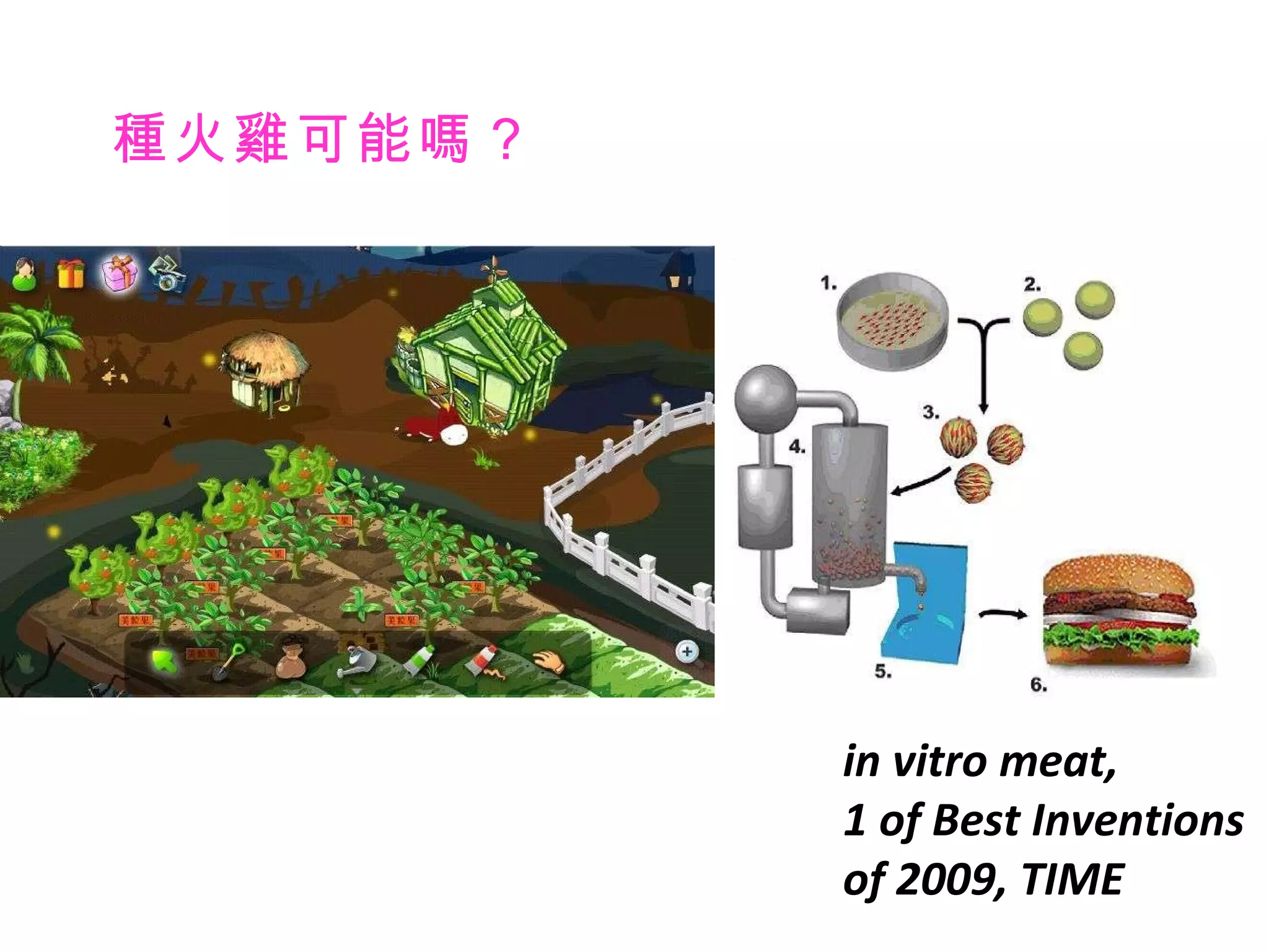 Particle Physics & Beyond Physics | PPT | Physics | Science