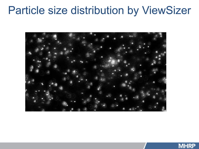 Particle Size Analyses of Polydisperse Liposome Formulations with ...