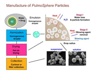 Particle Size Analysis for Homogenization Process Development | PPT